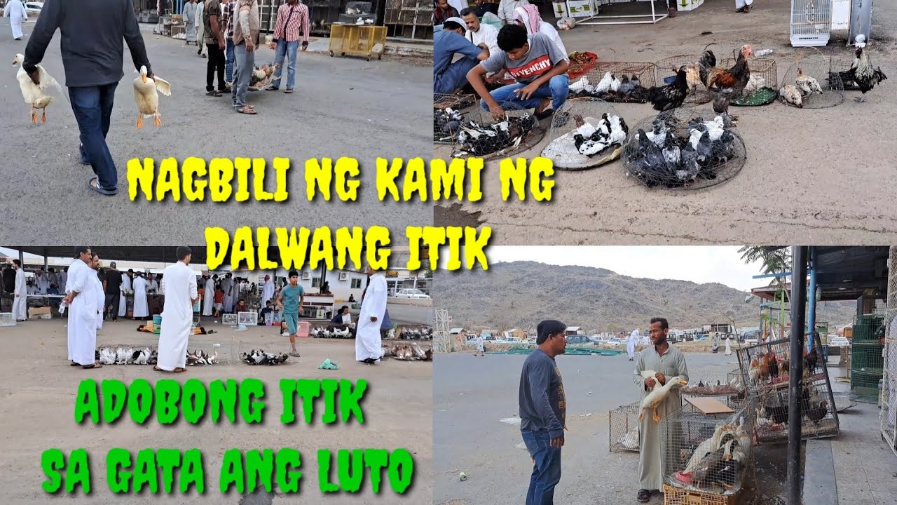 NAGBILI KAMI NG BUHAY NA ITIK, ADOBO SA GATA ANG LUTO#RogelioJ#Mixog* # ...