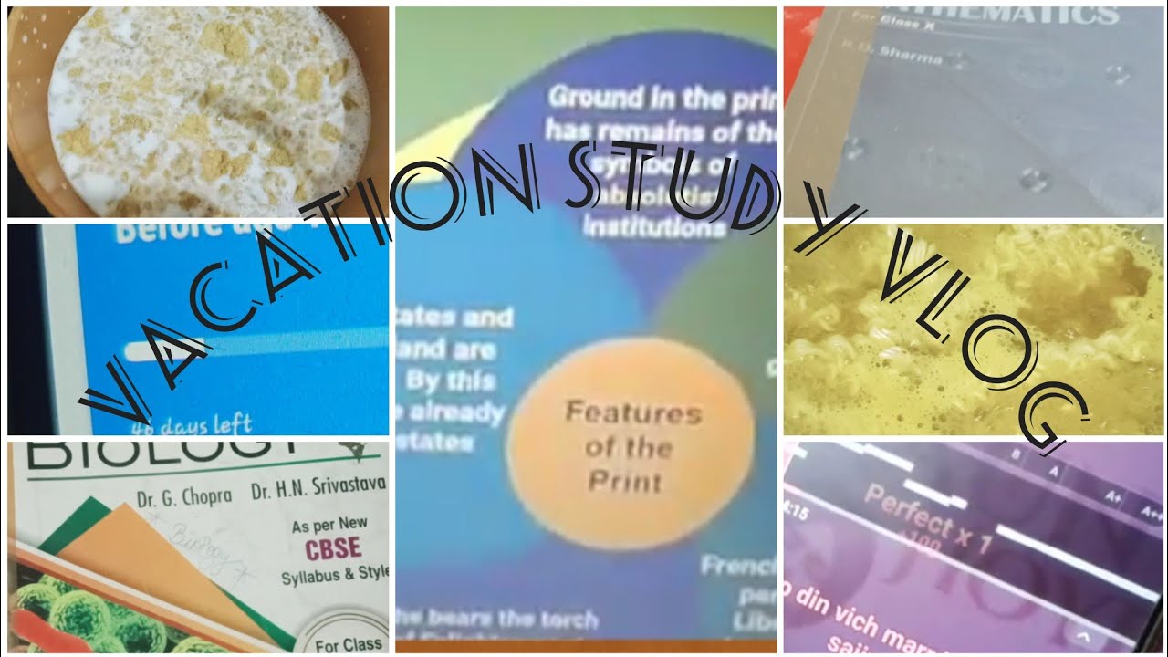 A Day in the Vacation of a 10th Grader | CBSE 10 Study Vlog during ...