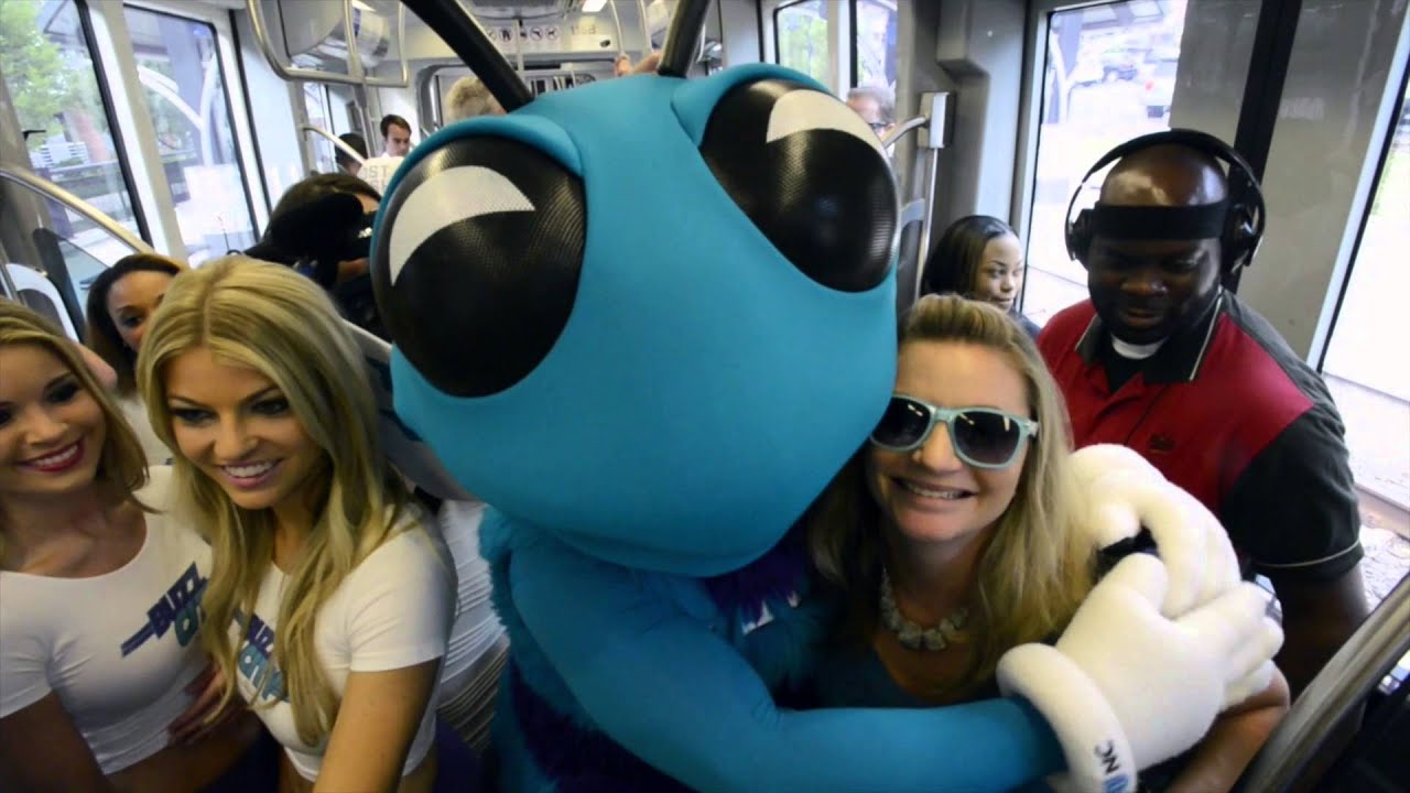 Hugo the Hornet is back in Charlotte - YouTube