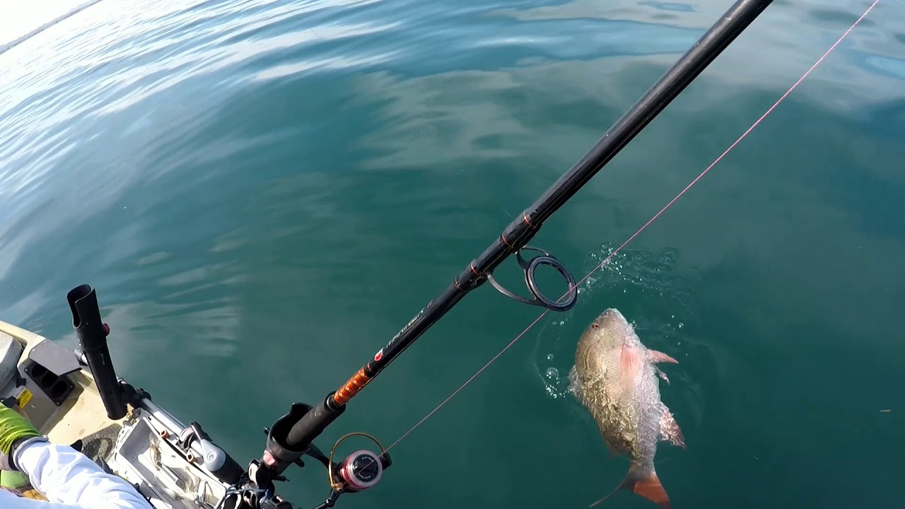 Pesca en kayak en Puerto Rico sama - YouTube