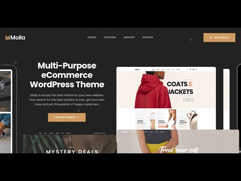 Molla - Multi-Purpose WooCommerce Theme | Best Minimal eCommerce WordPress Theme
