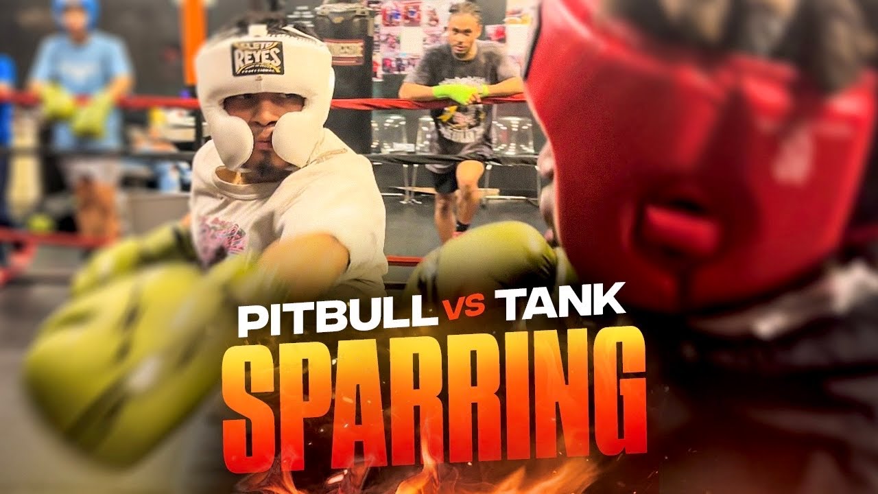 “PITBULL” VS “TANK” …HEATED SPARRING! - YouTube