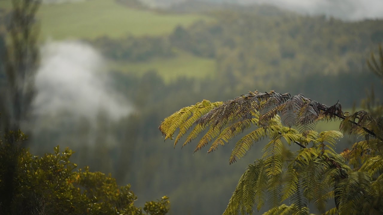 Dundle Hill Video - YouTube