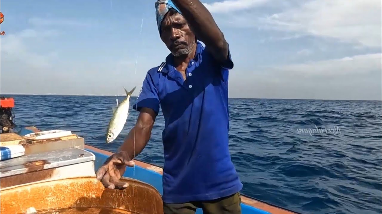 Live Bites for King fish, queen fish, needle fish - YouTube