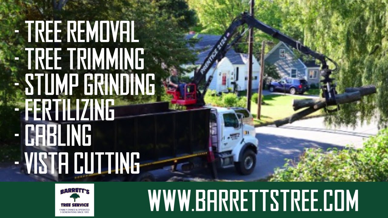 Tree Service in South Burlington VT, details at YellowPages.com - YouTube