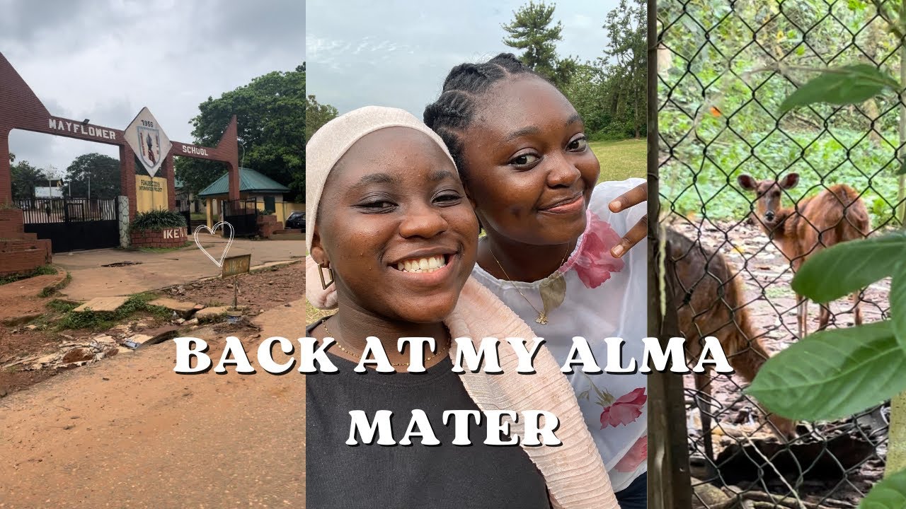 Let’s go back to my secondary school together | Mayflower Private ...