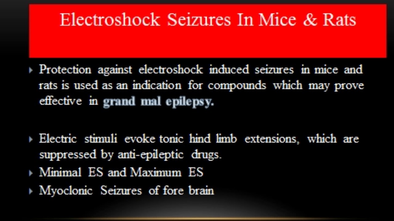 Lecture 1C: Animal models of epilepsy - YouTube