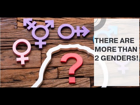 Gender Tier List - YouTube