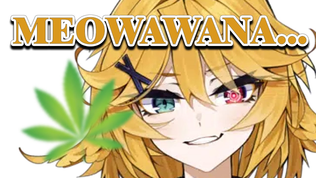 meowawana... - Dokibird Clip Highlights - YouTube