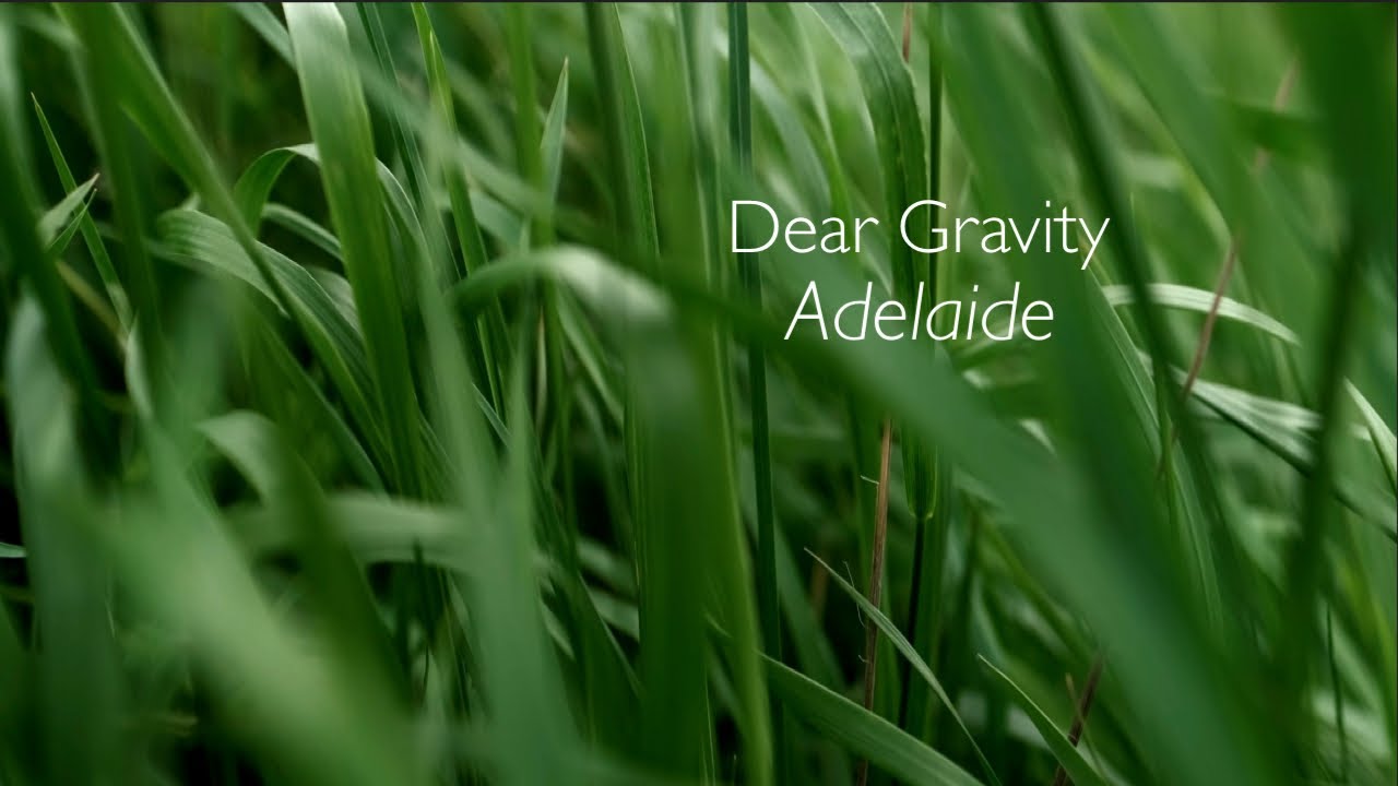 DEAR GRAVITY - ADELAIDE *[Music VIDEO]* - YouTube