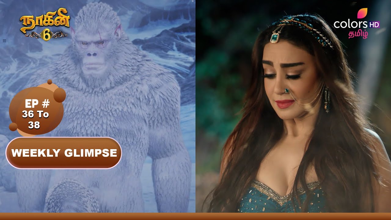 Naagini S6 | நாகினி S6 | Ep 36 To 38 | Colors Tamil - YouTube