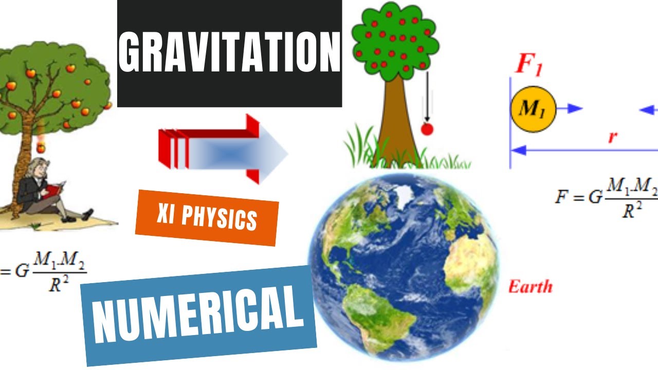 Important Numerical Of Gravitation Class 11 | Past papers Gravitation ...