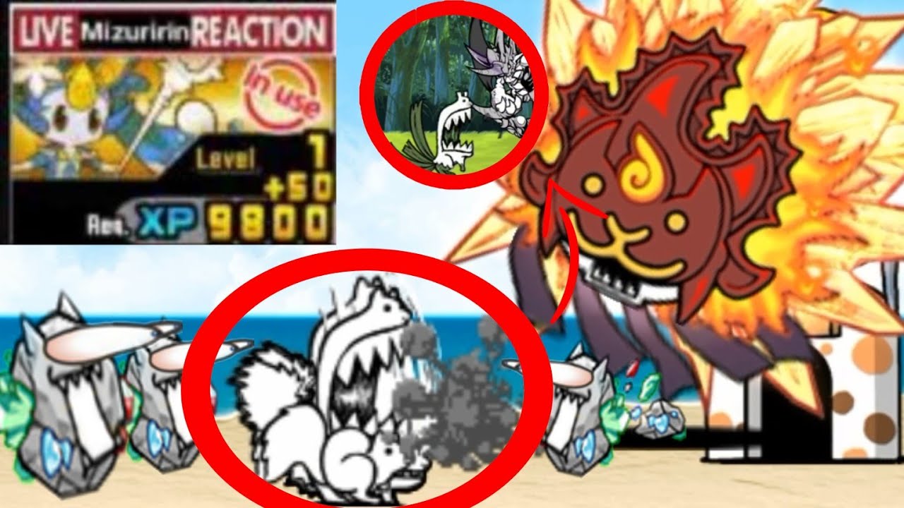 Battle Cats - The Starred SoL experience - YouTube