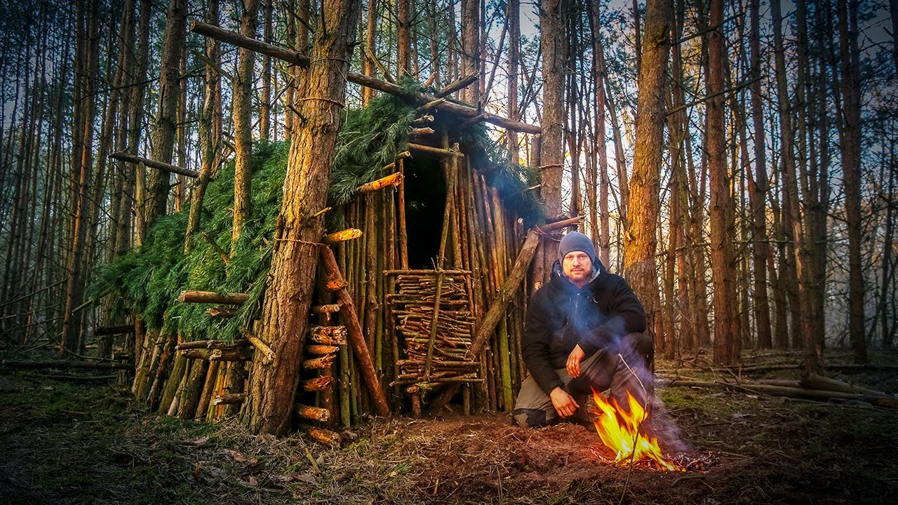 Primitive Log Structures