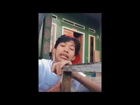 Kumpulan vidio adam elvan dan pecok gurame