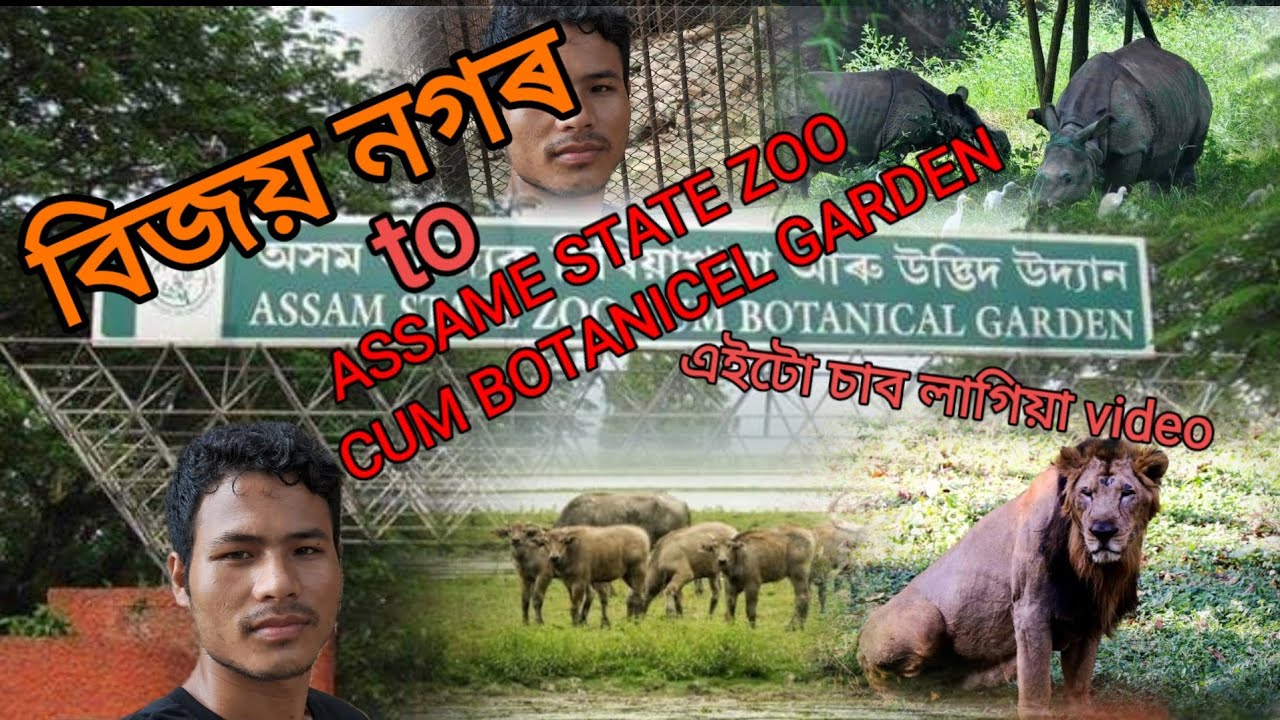 Bijoynagar to assam zoo state vatanical garden - YouTube