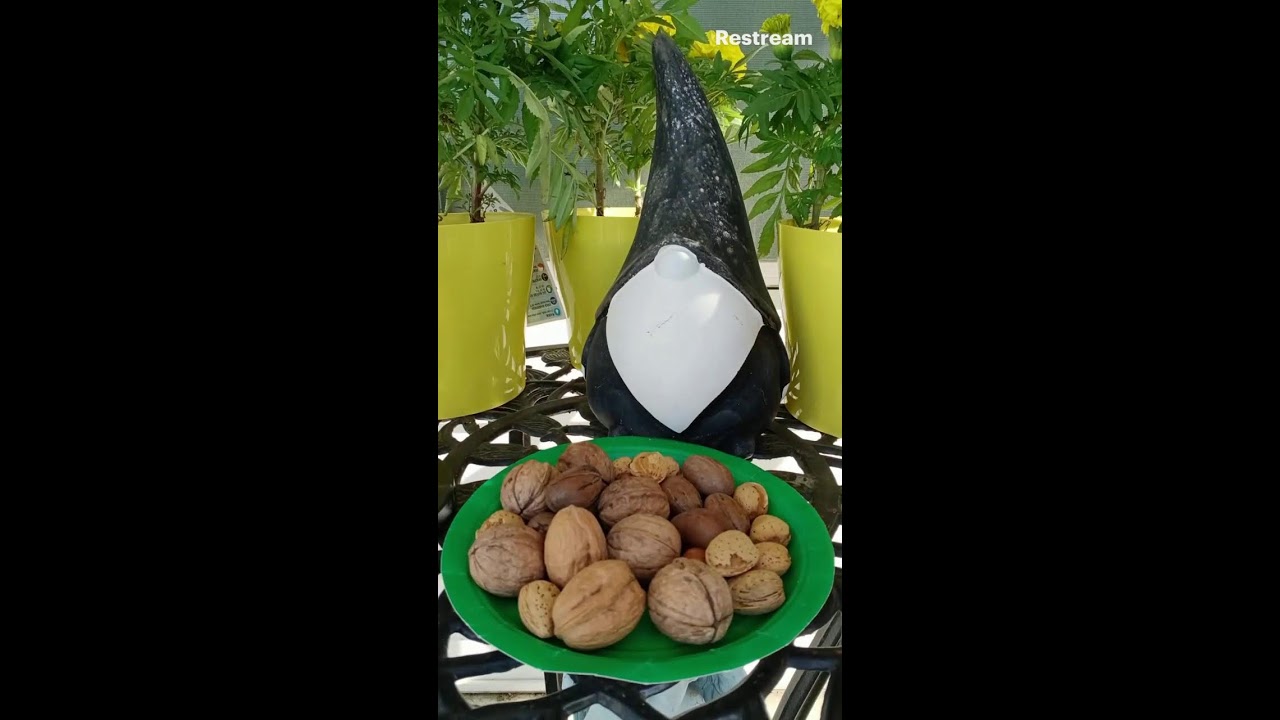 ASMR Saturday Night Nut #asmrsound - YouTube