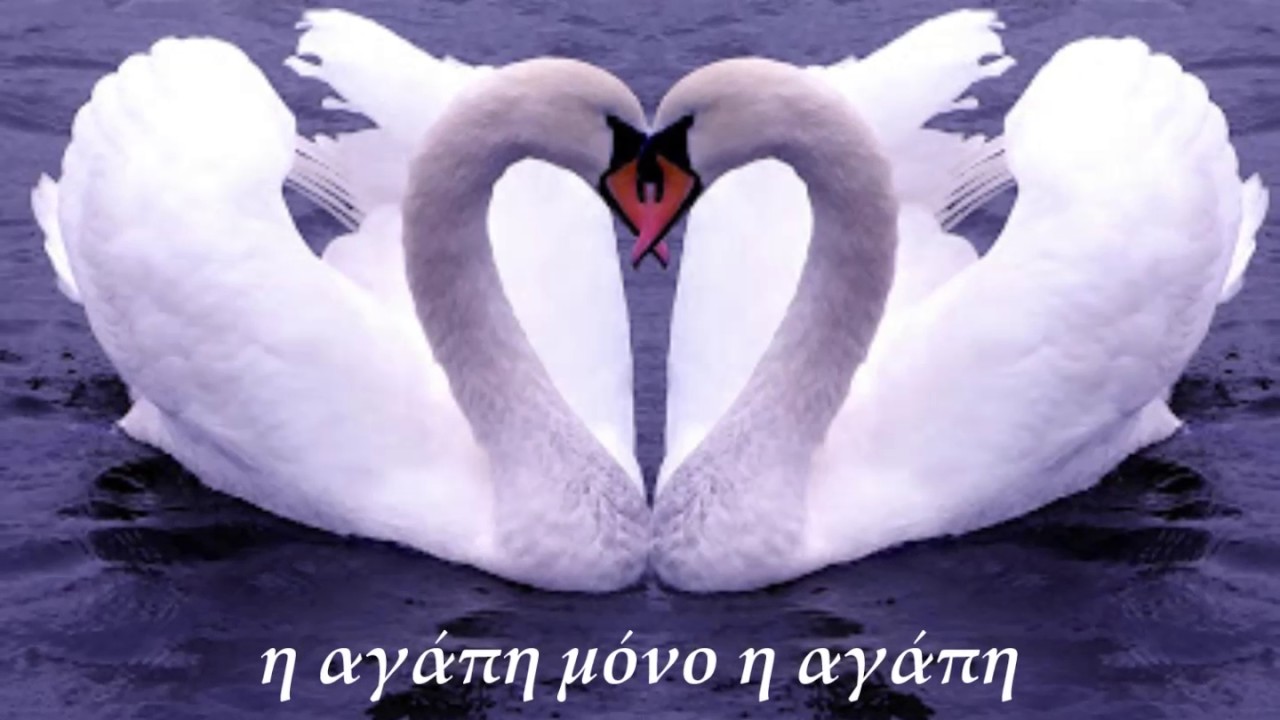 Η ΑΓΑΠΗ OΛΑ ΤΑ ΝΙΚΑ - YouTube
