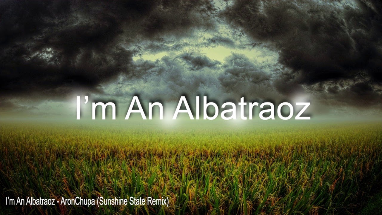 I'm An Albatraoz - AronChupa (Sunshine State Remix) - YouTube