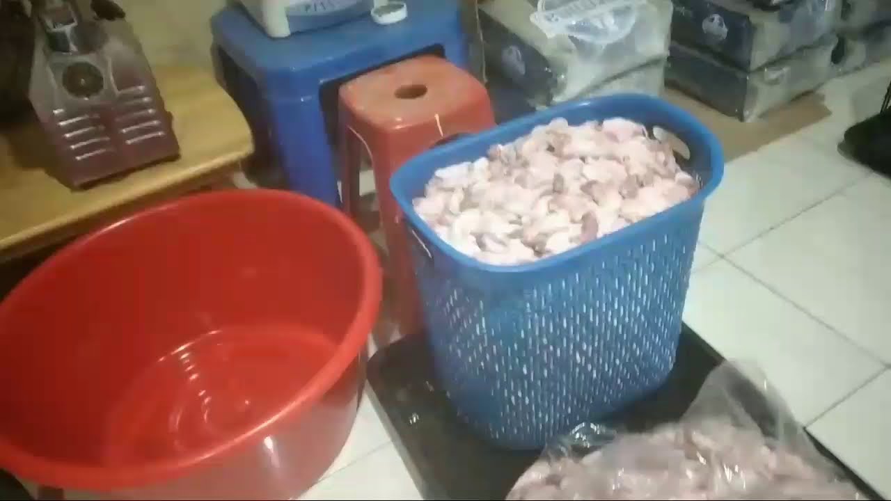 🔴 Meracik Makanan Anjing,2. - YouTube