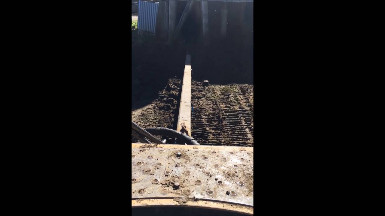 Woolshed, shed cleaning under grating - YouTube