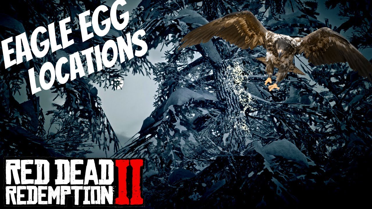 Eagle Egg Locations All Day Cycles - YouTube