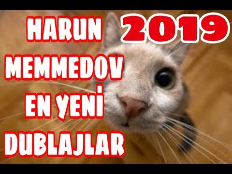 HARUN MƏMMƏDOV ƏN YENİ DUBLAJLAR (2019)