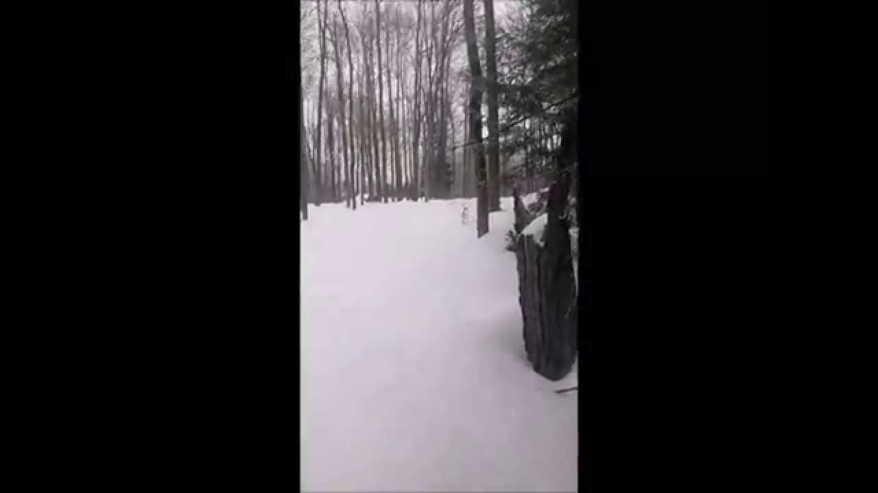 vermont coyote hunting 2014 - YouTube