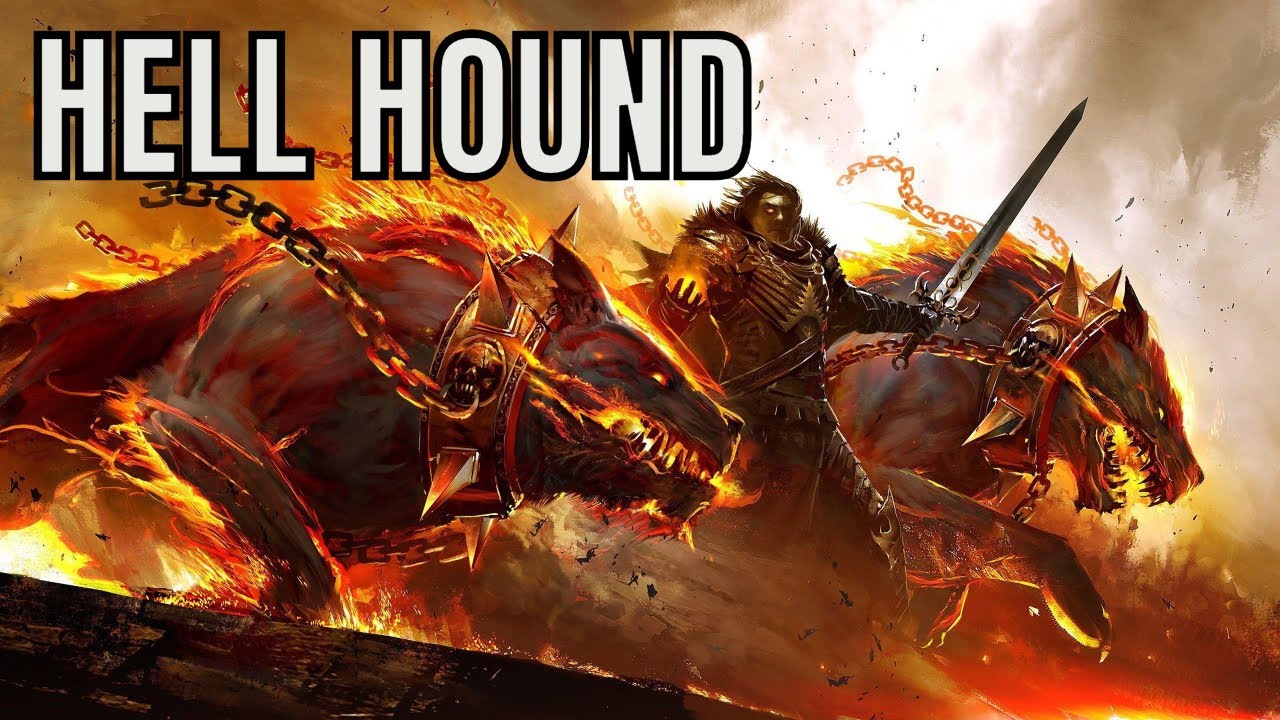 Hellhound Dungeons & Dragons Monster Lore #4k - YouTube