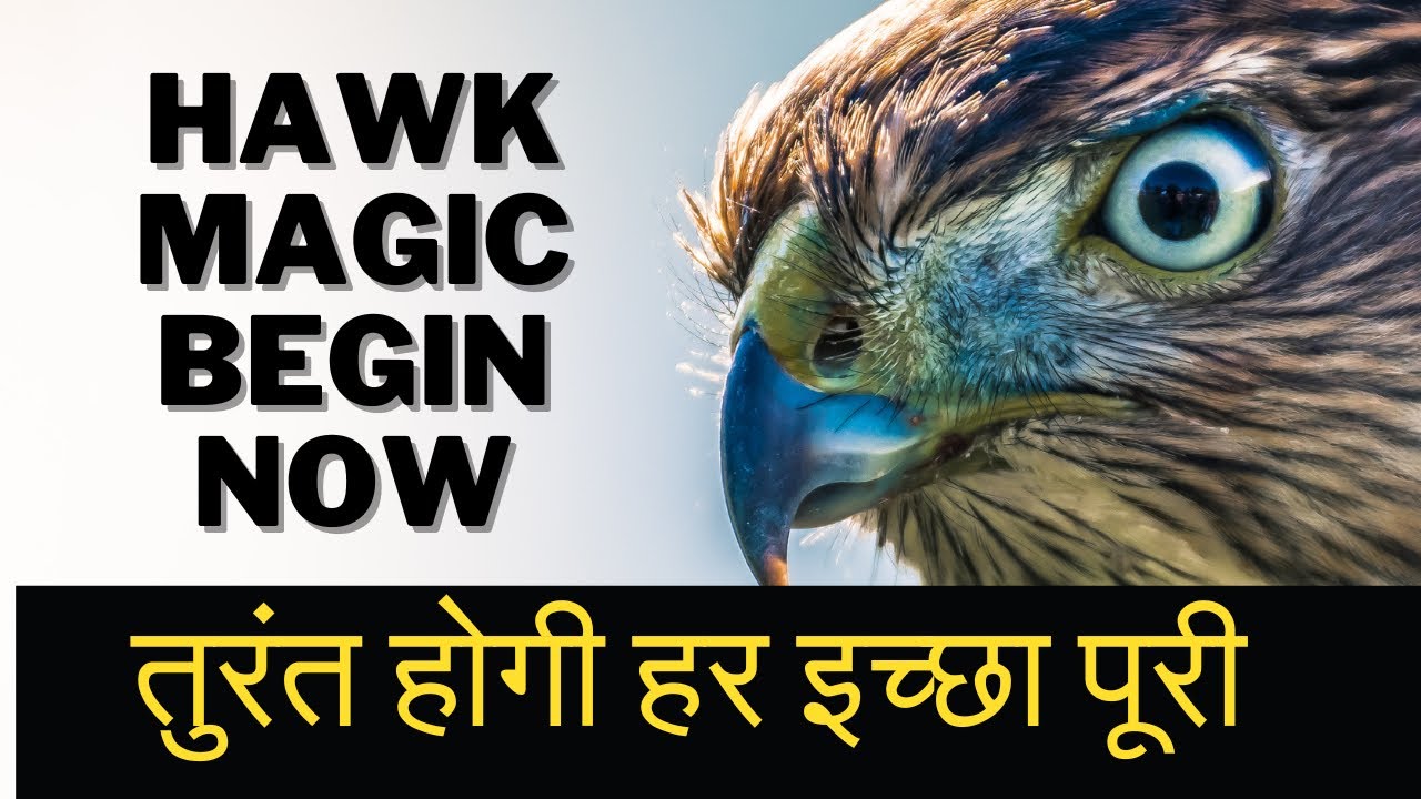 तुरंत होगी हर इच्छा पूरी । HAWK-MAGIC-BEGIN-NOW | MAGIC BEGIN NOW ...