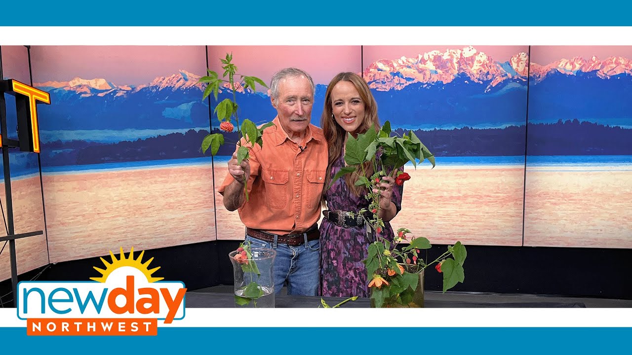 This flowering plant puts on a big big show - New Day NW - YouTube