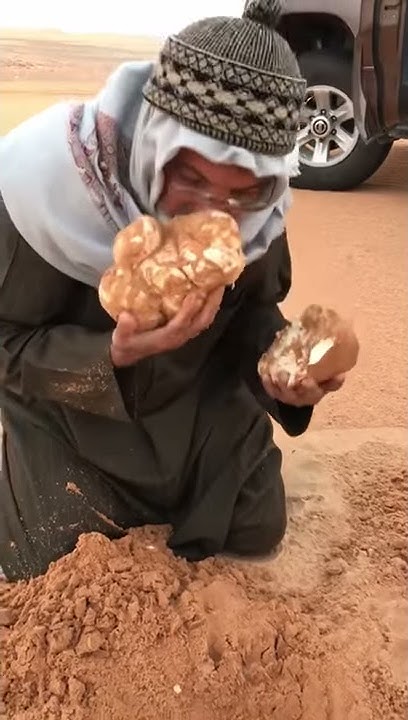 اكبر فقع زبيدي ممكن تشوفه Youtube