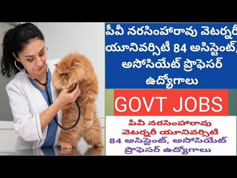 PV Narasimha Rao Veterinary University 84 Assistant, Associate ...