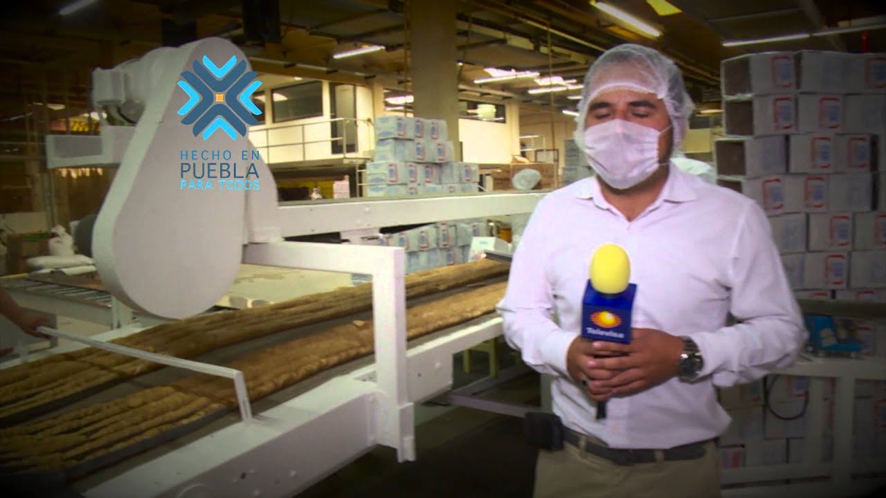 REPORTAJE GAPSA HECHO EN PUEBLA PARA TODOS 2015 - YouTube