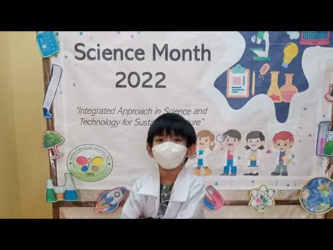CELEBRATION OF SCIENCE MONTH 2022 AT METAMORPHOSIS SCHOOL INC ( GRADE 2 ...
