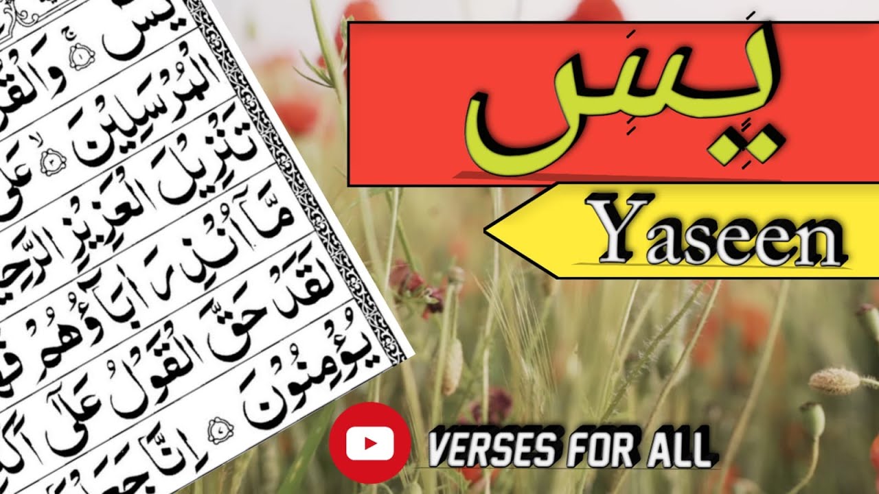 Unleashing the Blessings of Surah Yaseen Shareef - A Complete ...
