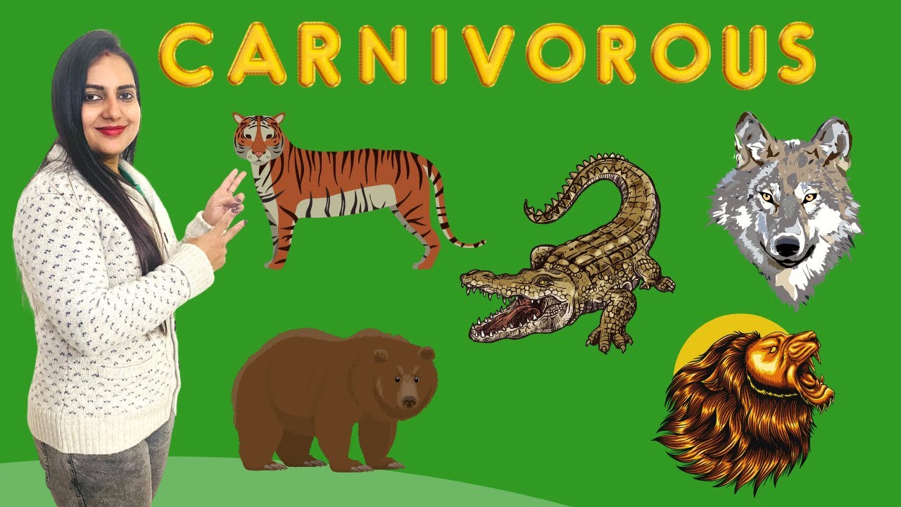 Carnivorous Animals Names And Sounds | Learn Carnivorous Animals With ...