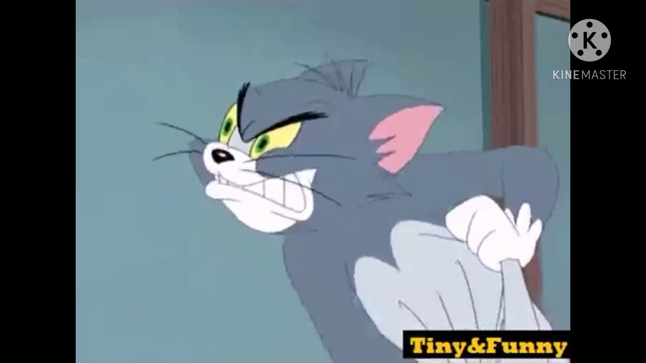 Tom and Jerry Tales: Beefcake Tom, but only the belly parts. (Part 2 ...