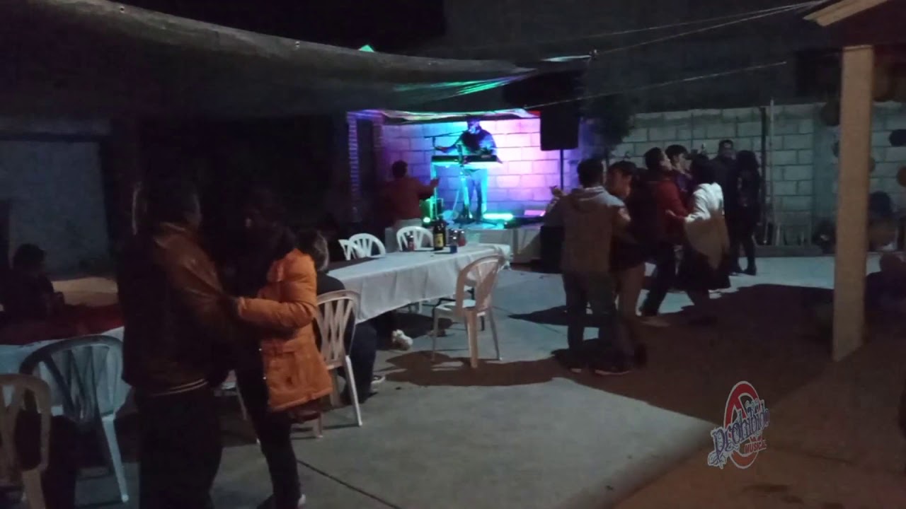 Tecladista Prohibido Musical en Sn Lorenzo Toxico Mza 7 7121550300 y ...