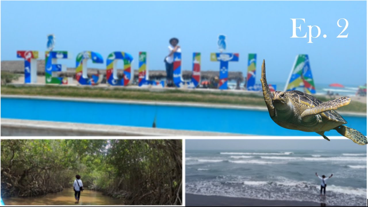 México...Tecolutla Veracruz! Curiosidades, su playa, su río (manglares ...