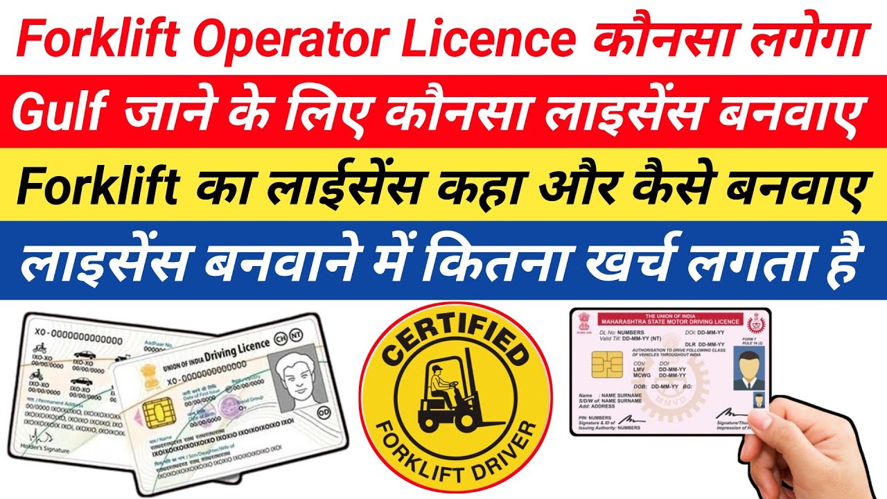Forklift Operator Licence | Gulf Job के लिए कौनसा लाइसेंस लगता है ...