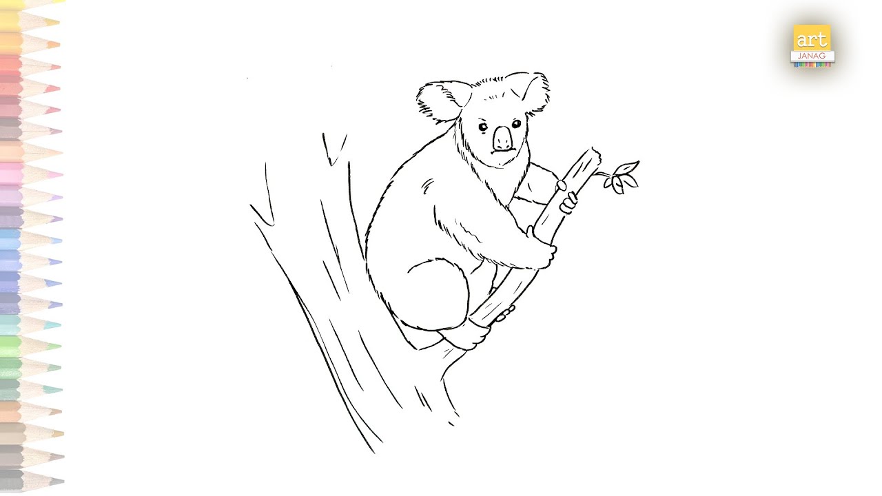 Koala on the tree drawing easy | How to draw A Koala bear step by step ...