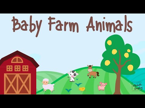 Baby Farm Animals by Michelle Greyling - YouTube