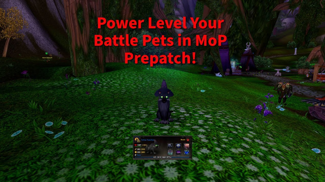 Battle Pet Leveling EZ MODE - YouTube