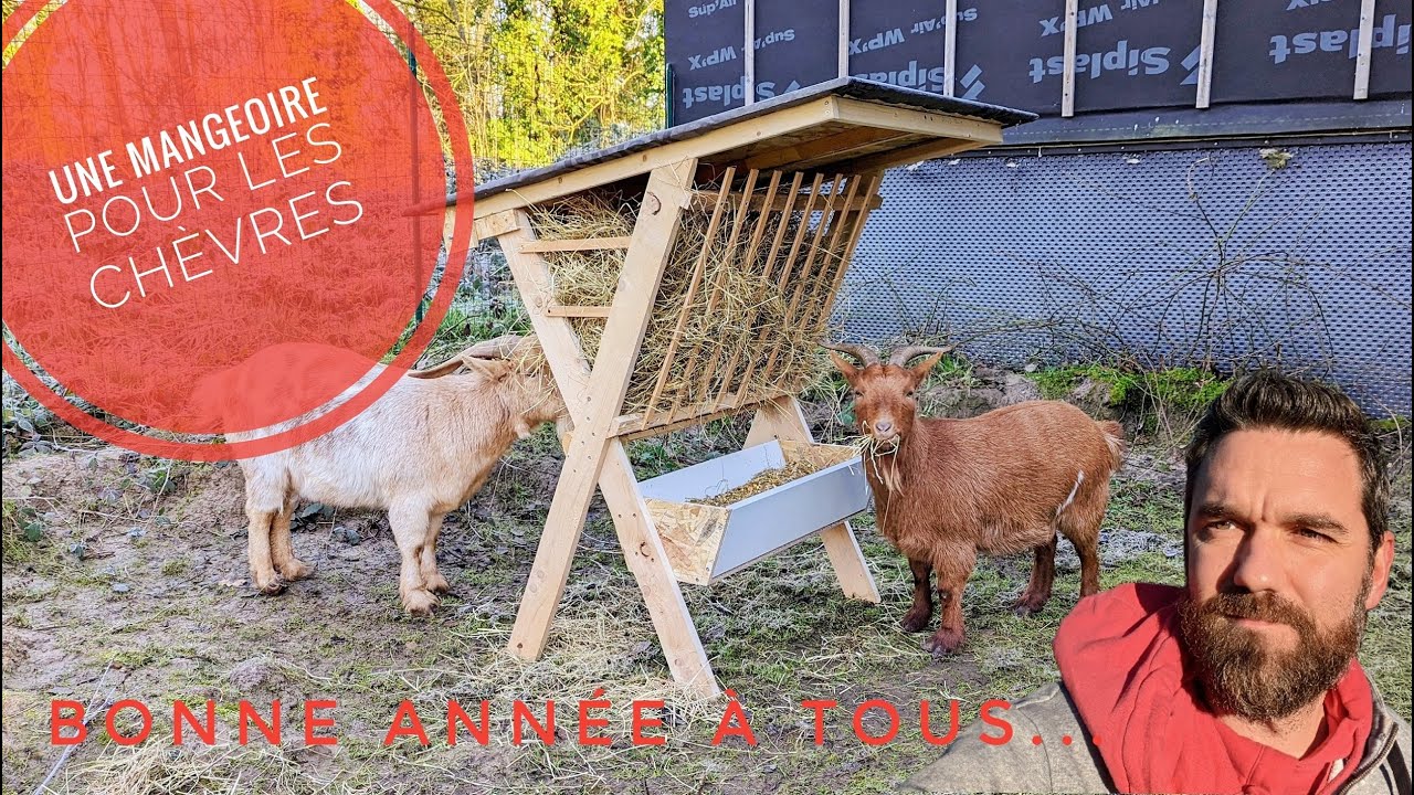 une mangeoire pour les chèvres et une bonne année à tous - YouTube