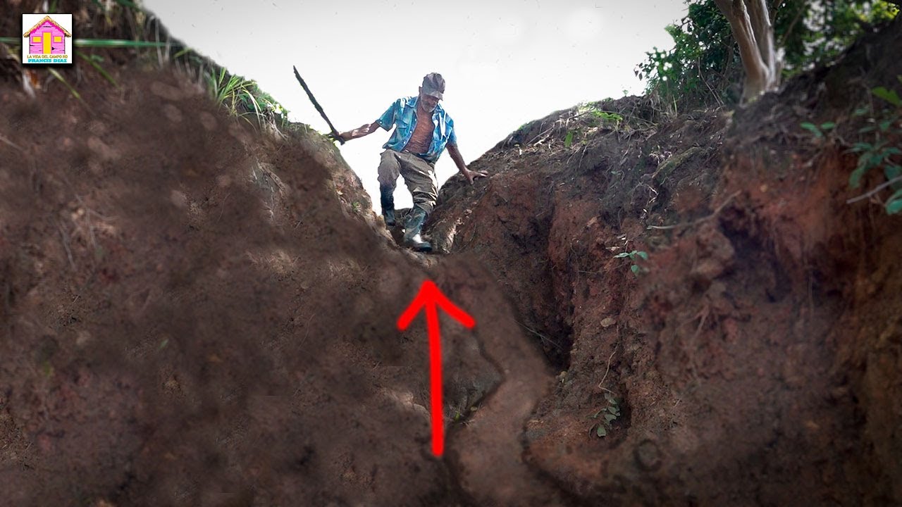 a su edad MIREN LO QUE HACE / la vida del campo rd - YouTube