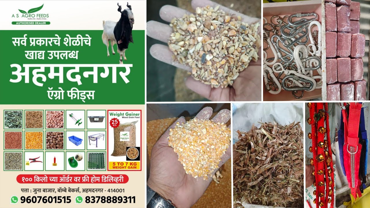 All type of Feed now Available at Ahemadnagar Agro Feed | Associated ...