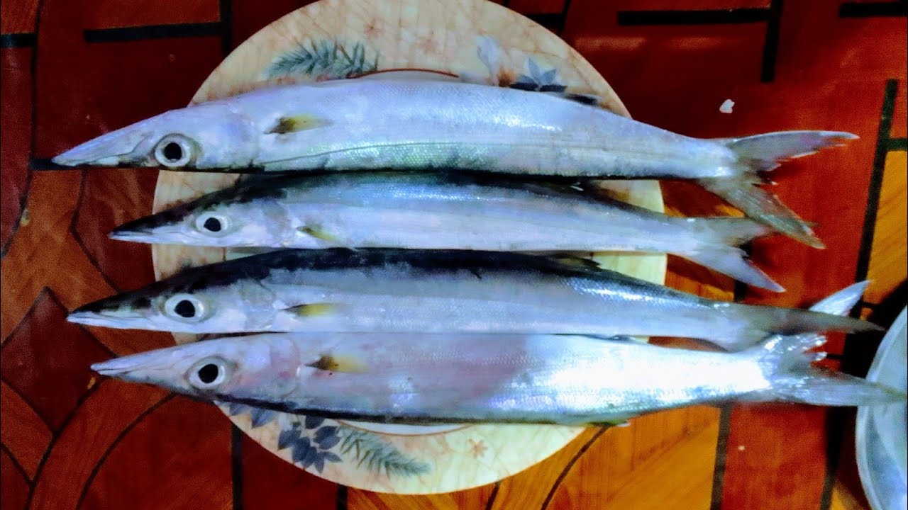 GANITO LANG PAGKUHA NANG MGA BARAKUDA | BOL ANONG MANDARAGAT FISHING ...