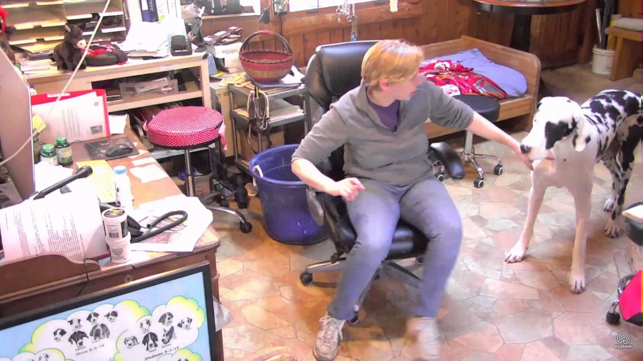 SDP House & Barn Talk 5 3 17 - YouTube