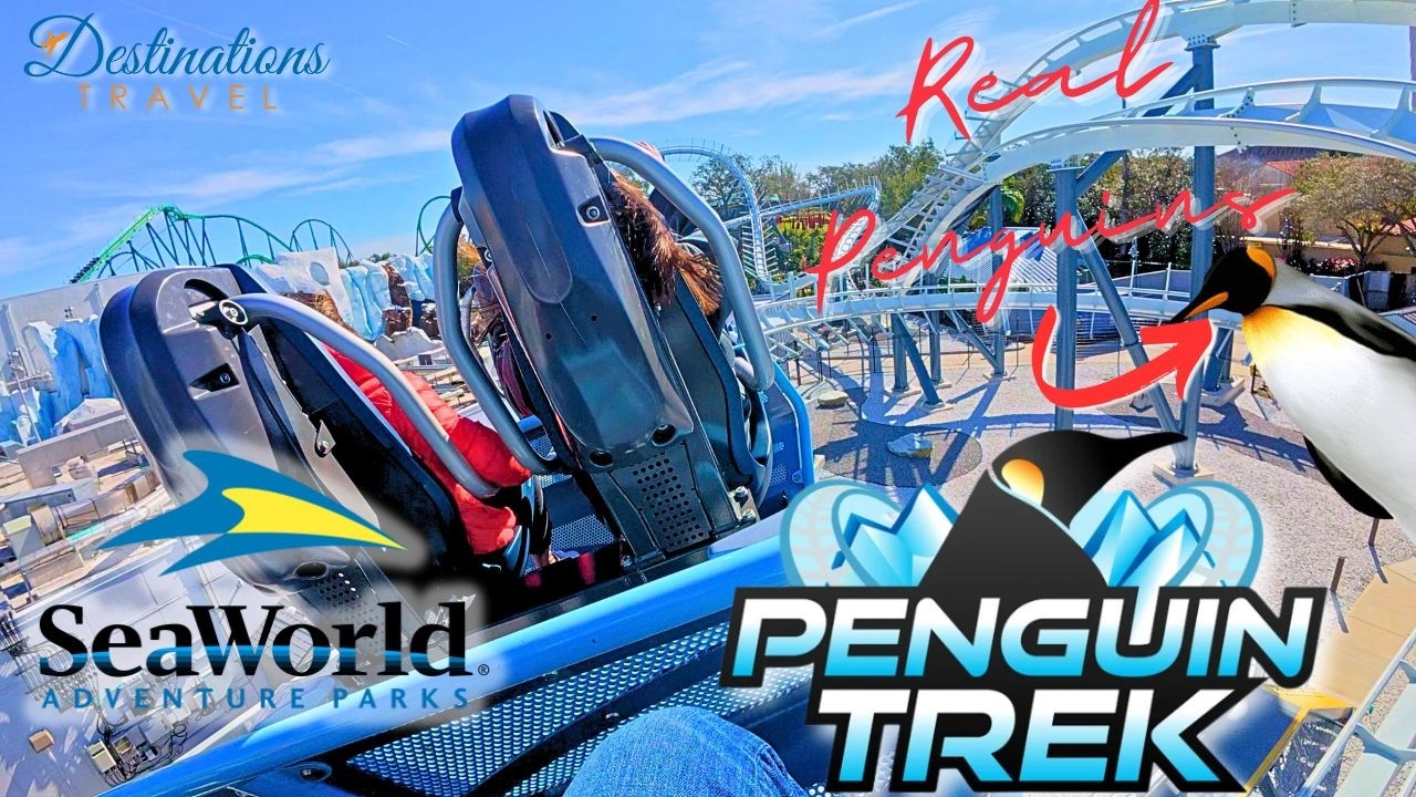 Penguin Trek Seaworld Orlando - YouTube